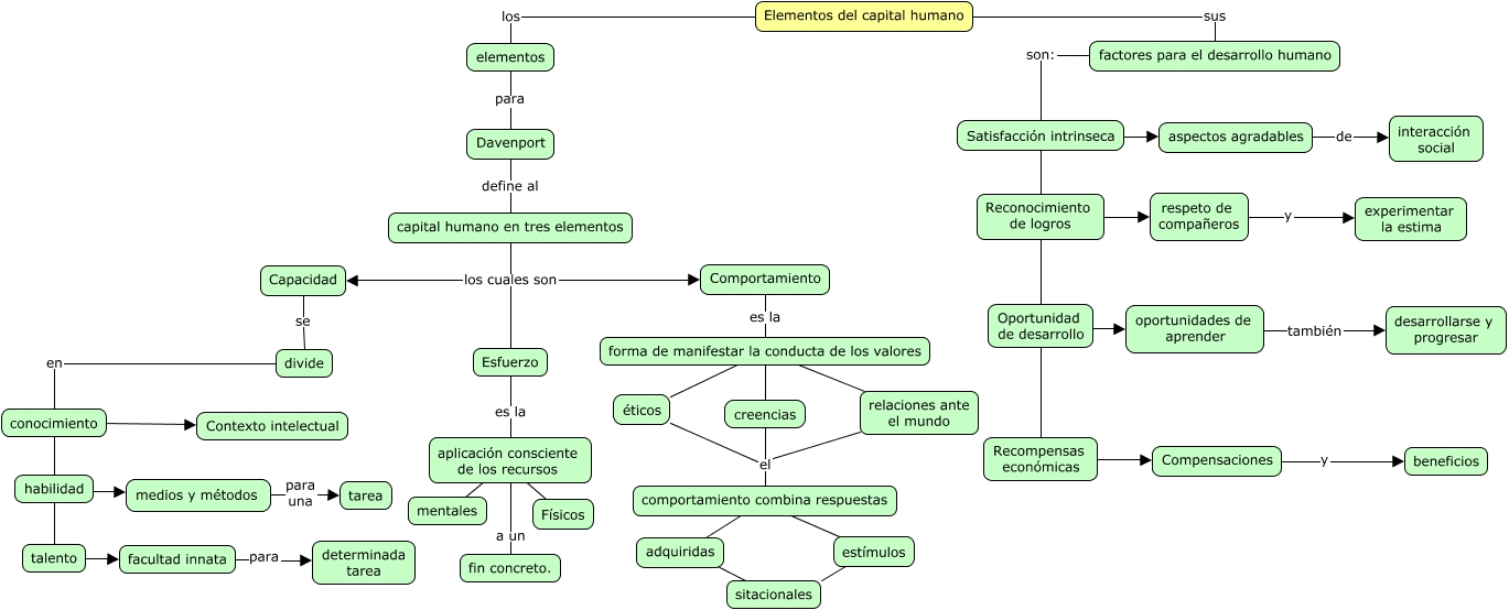 1.1.2 Elementos del capital humano Janet